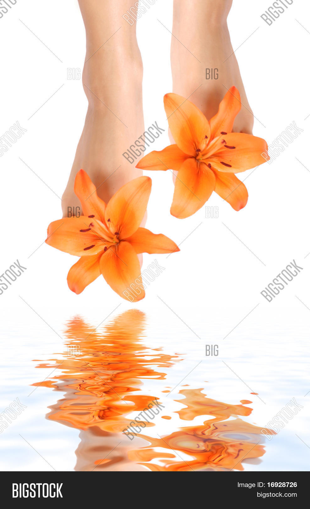Beautiful Legs Lily Image & Photo (Free Trial) | Bigstock