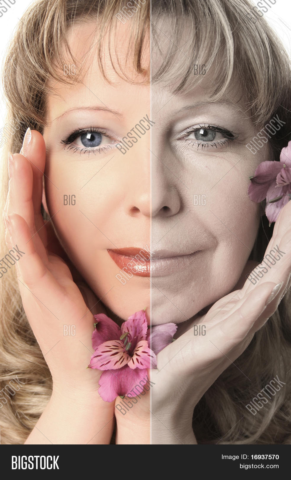 Ageing Process Image & Photo (Free Trial) | Bigstock