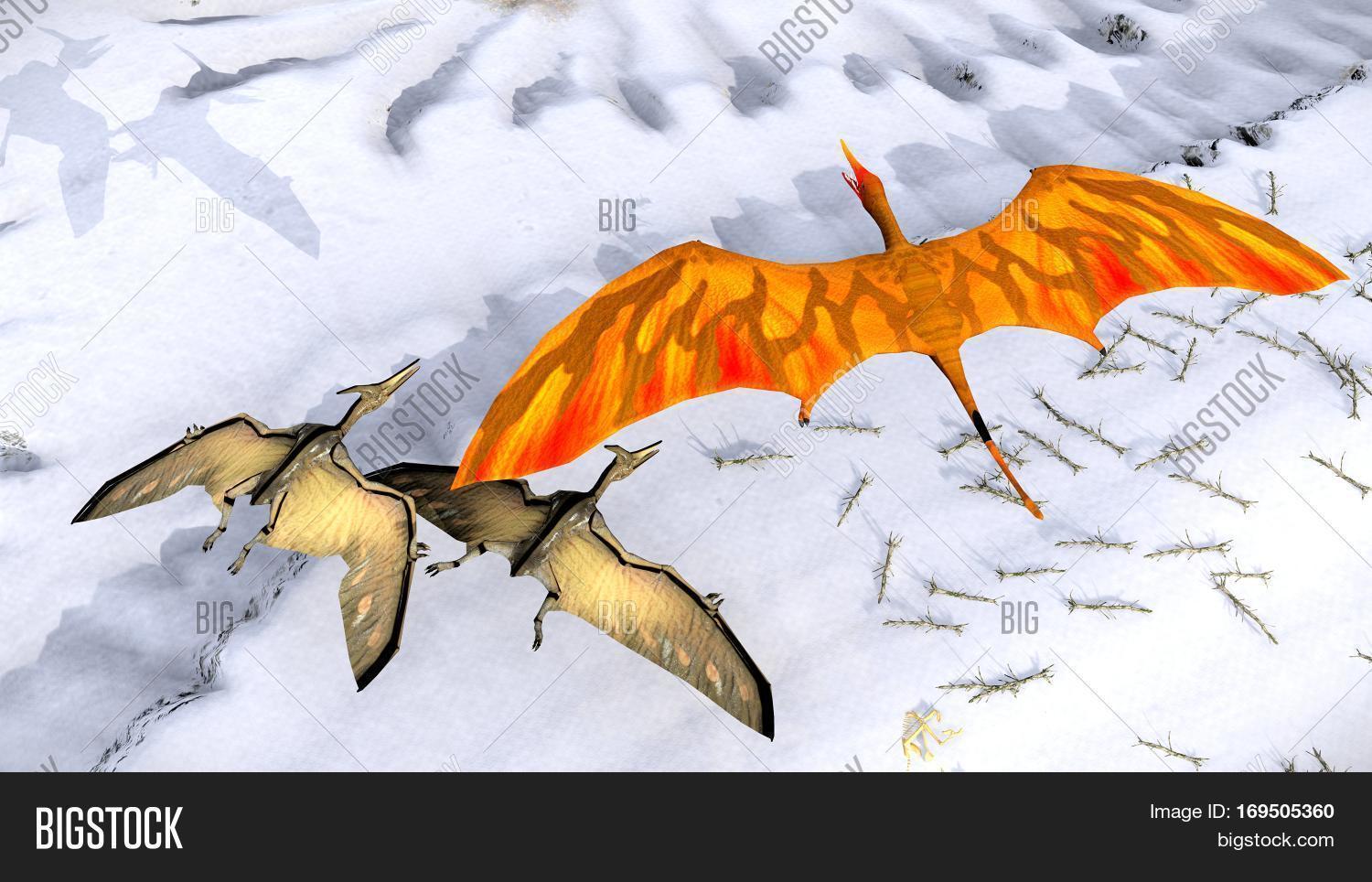 Flying Pterodactyl Image & Photo (Free Trial) | Bigstock