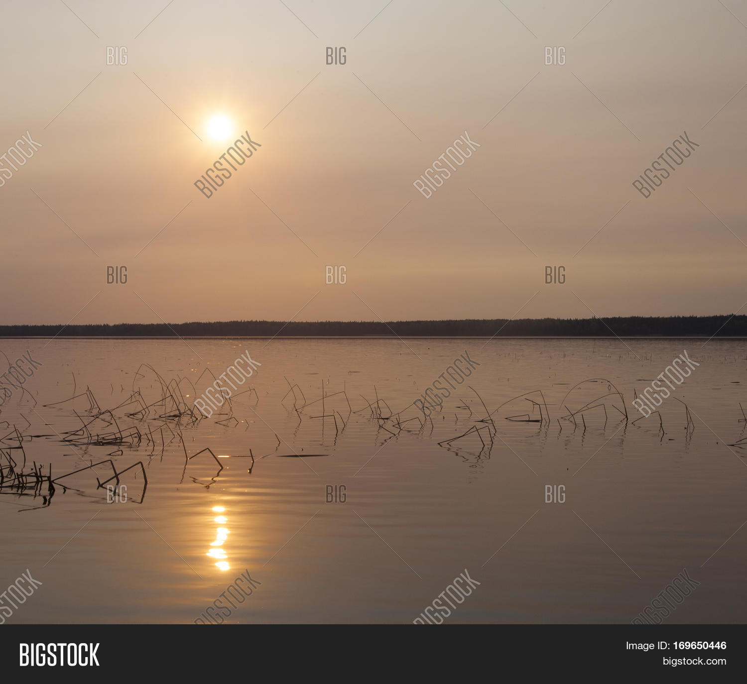 Dore Lake Saskatchewan Image & Photo (Free Trial) | Bigstock