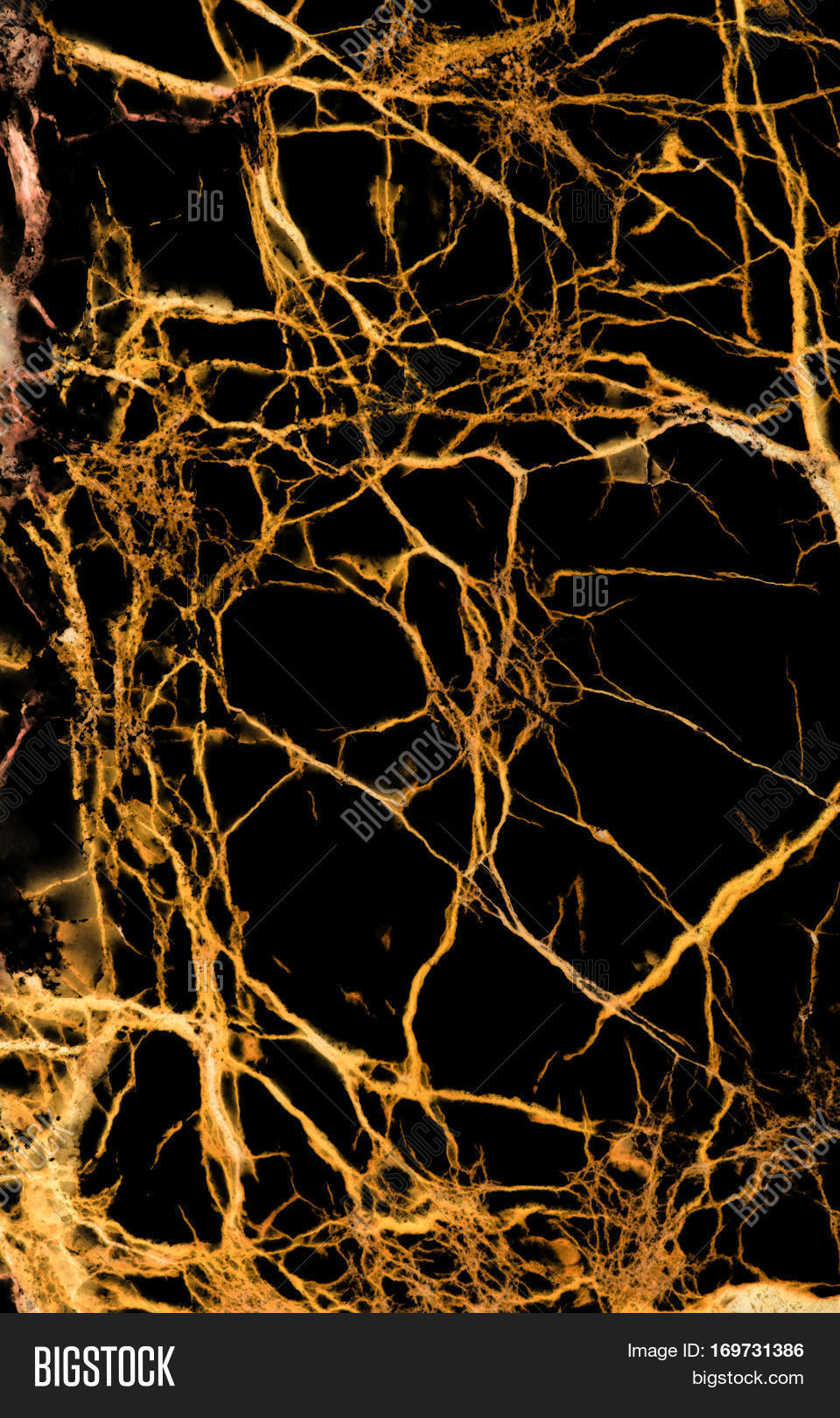 Black Gold Stone Image & Photo (Free Trial) | Bigstock