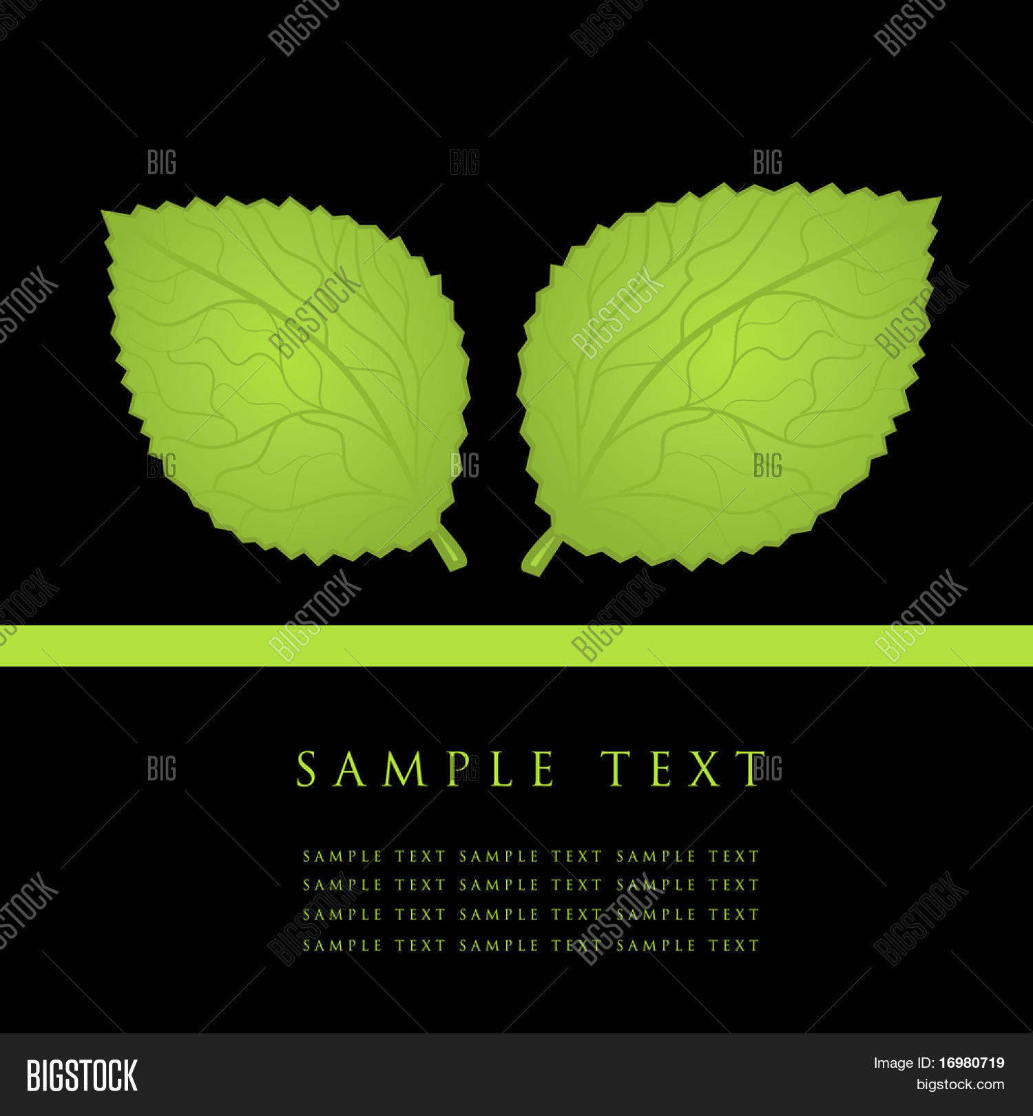 Green Leaves Card Vector & Photo (Free Trial) | Bigstock