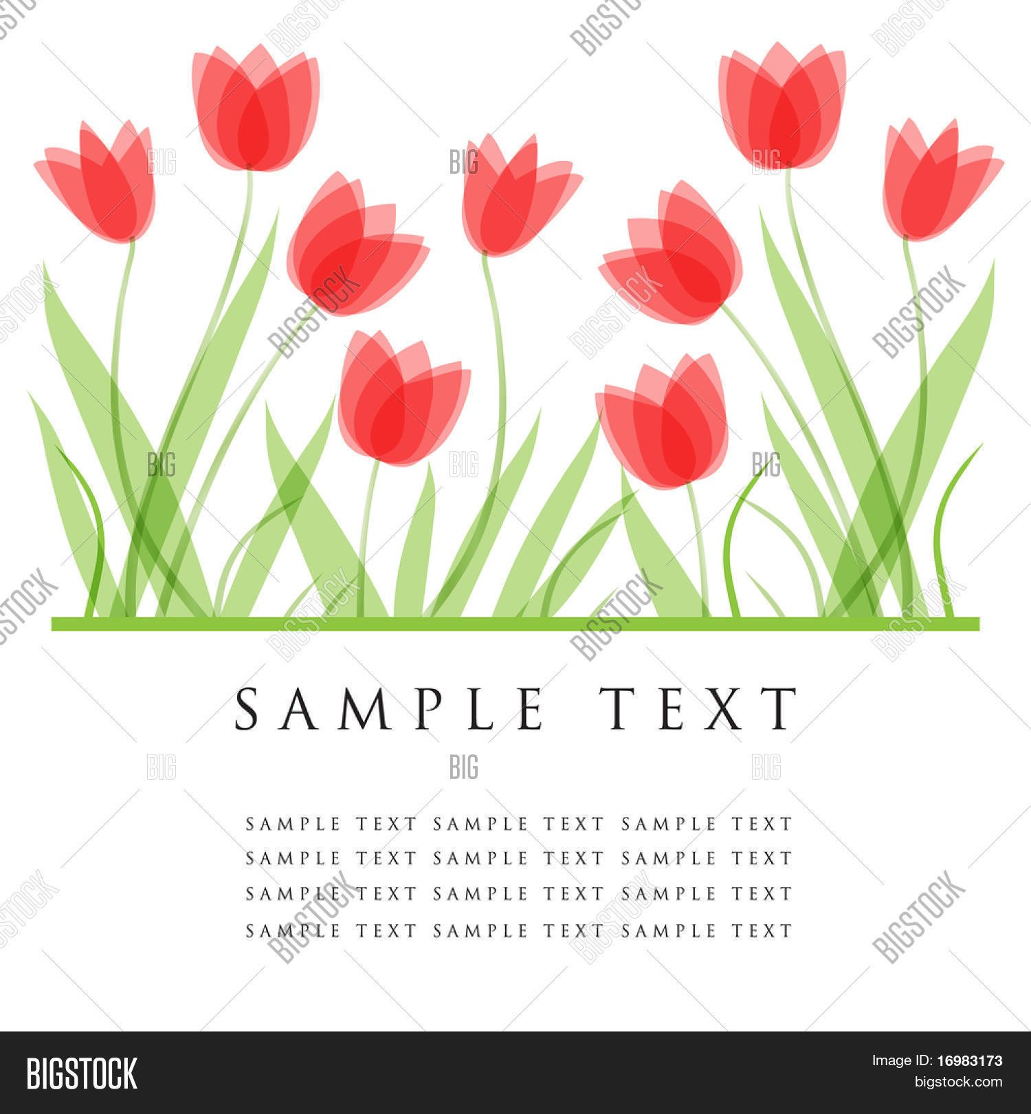Tulip Flowers. Design Vector & Photo (Free Trial) | Bigstock