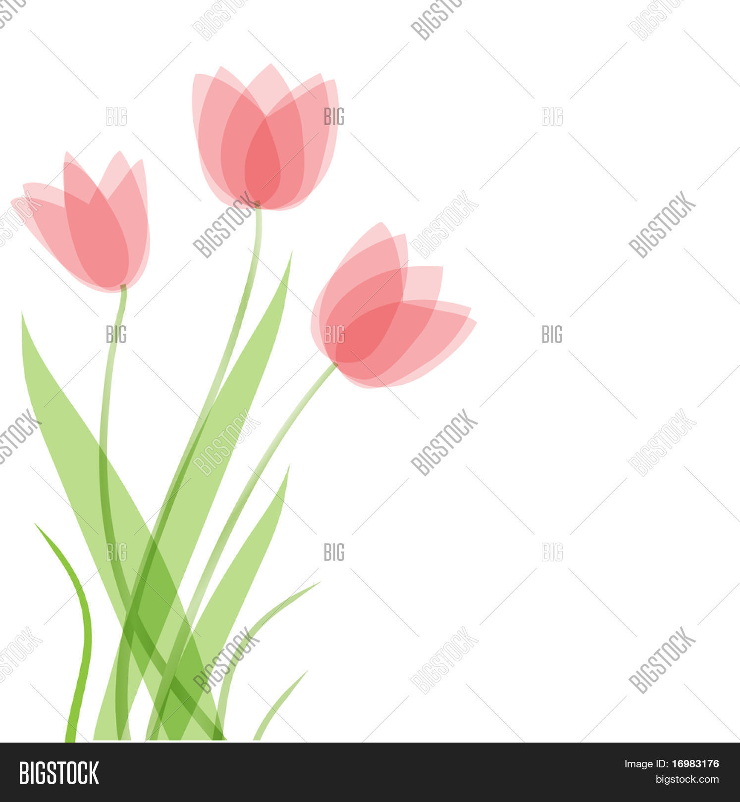 Tulip Flowers. Vector Vector & Photo (Free Trial) | Bigstock