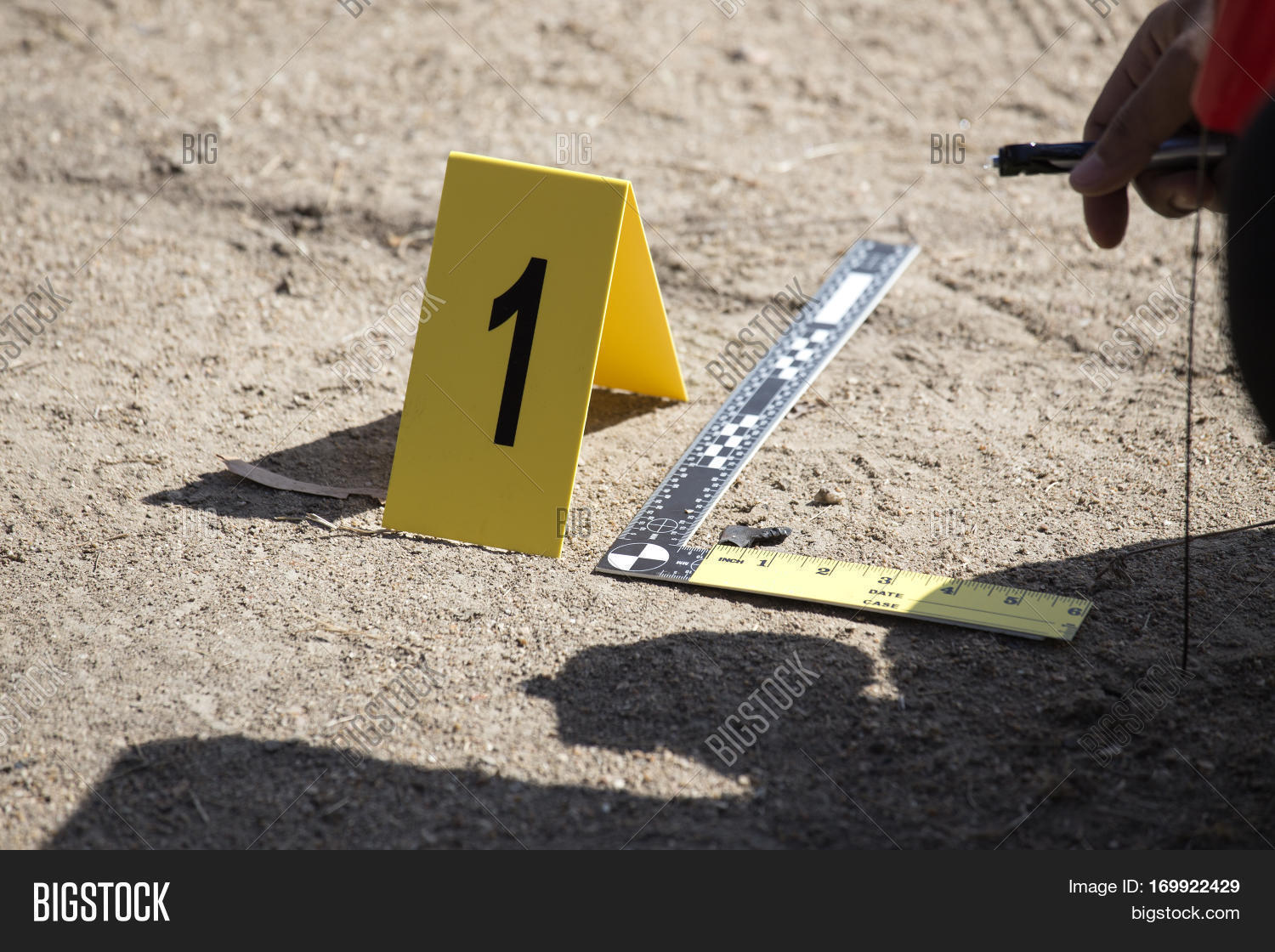 Evidence Marker Ruler Image & Photo (Free Trial) | Bigstock