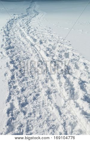 Footsteps On Snow Image & Photo (Free Trial) | Bigstock