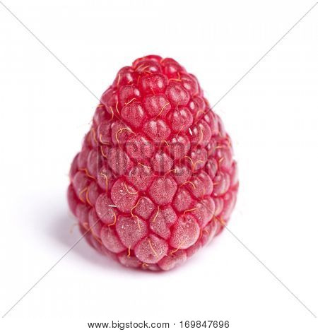 Single Raspberry Image & Photo (Free Trial) | Bigstock