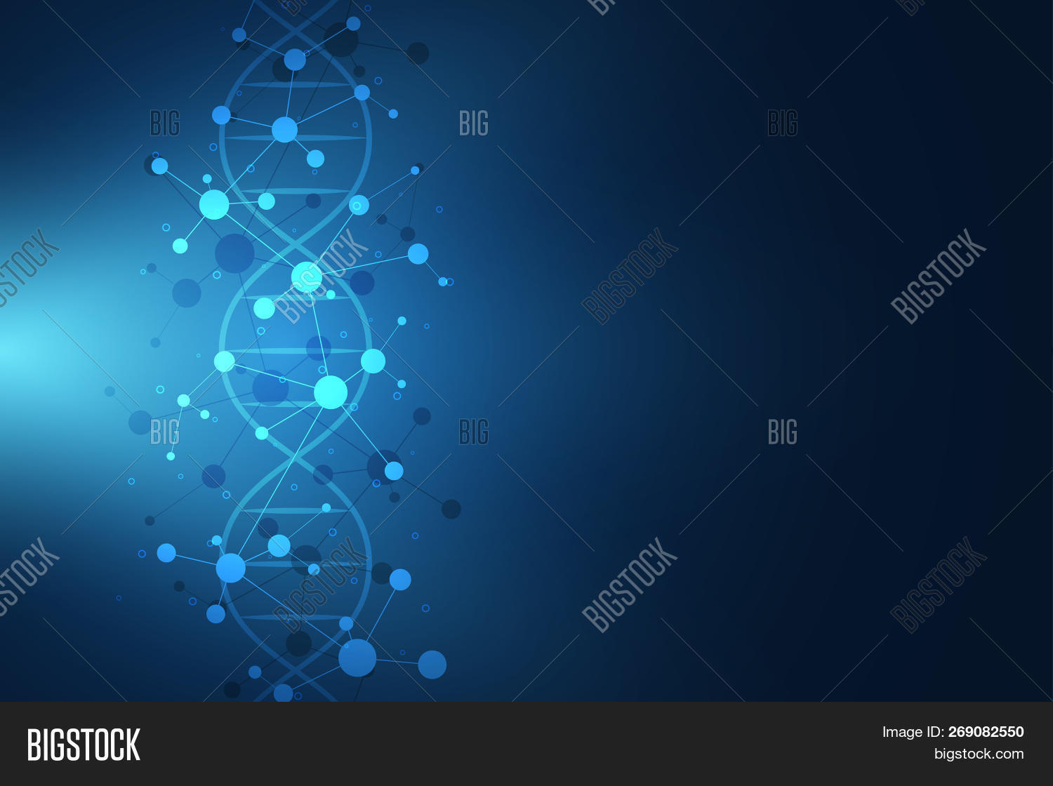 Dna Strand Molecular Image & Photo (Free Trial) | Bigstock