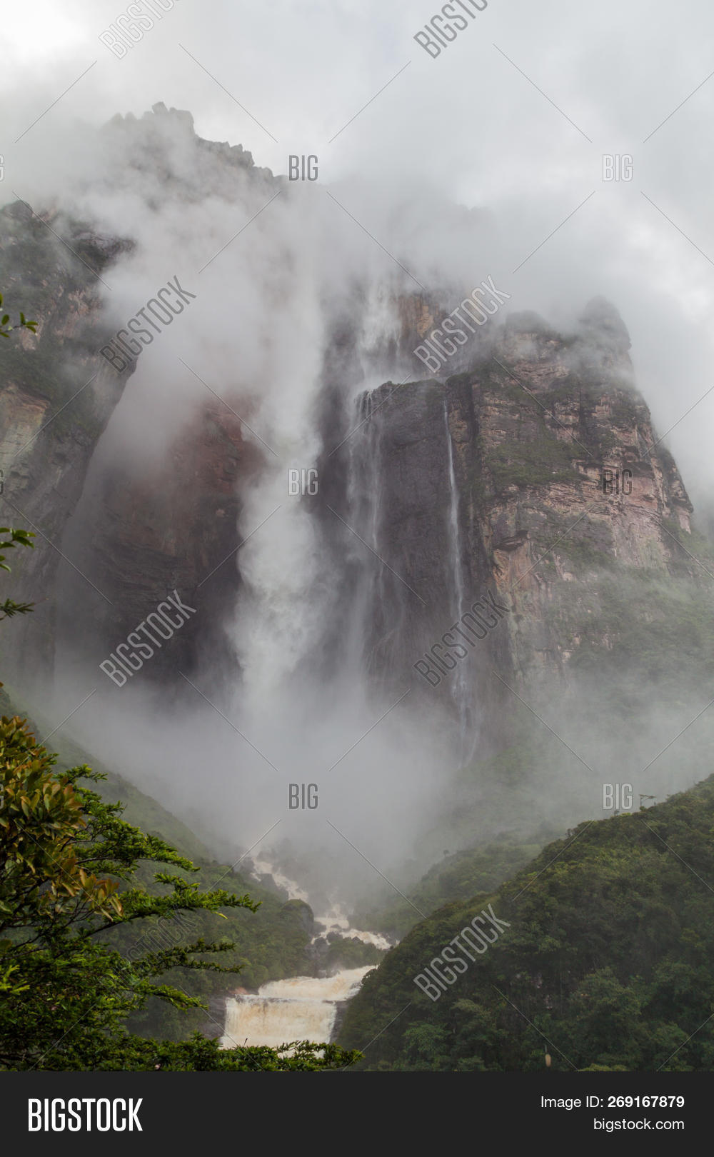 Angel Falls Salto Image & Photo (Free Trial) | Bigstock