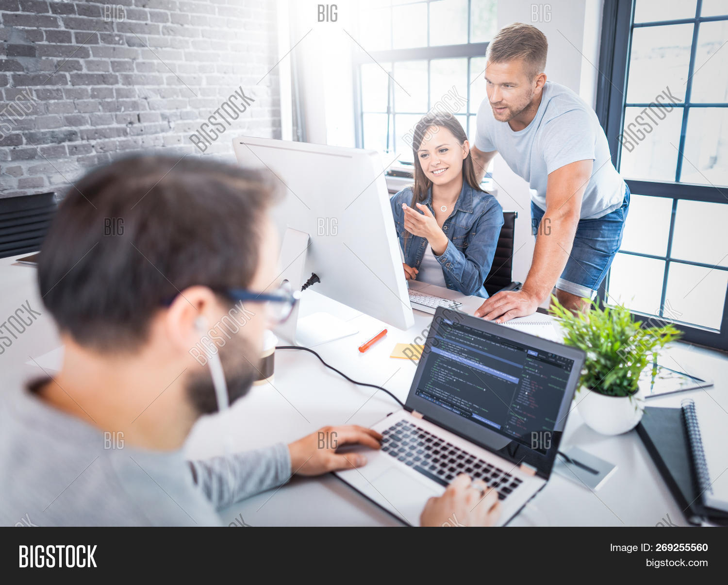 Developing Programming Image & Photo (Free Trial) | Bigstock