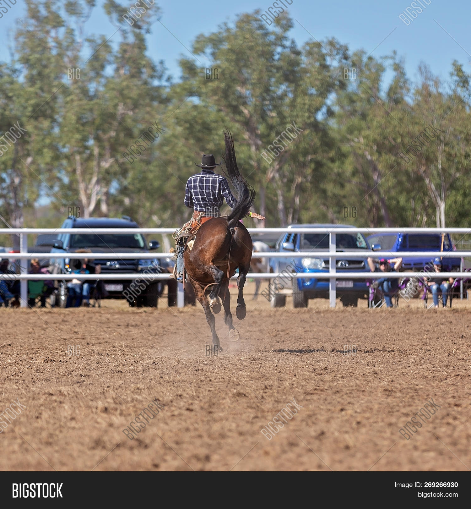 Cowboy Rides Wildly Image & Photo (Free Trial) | Bigstock