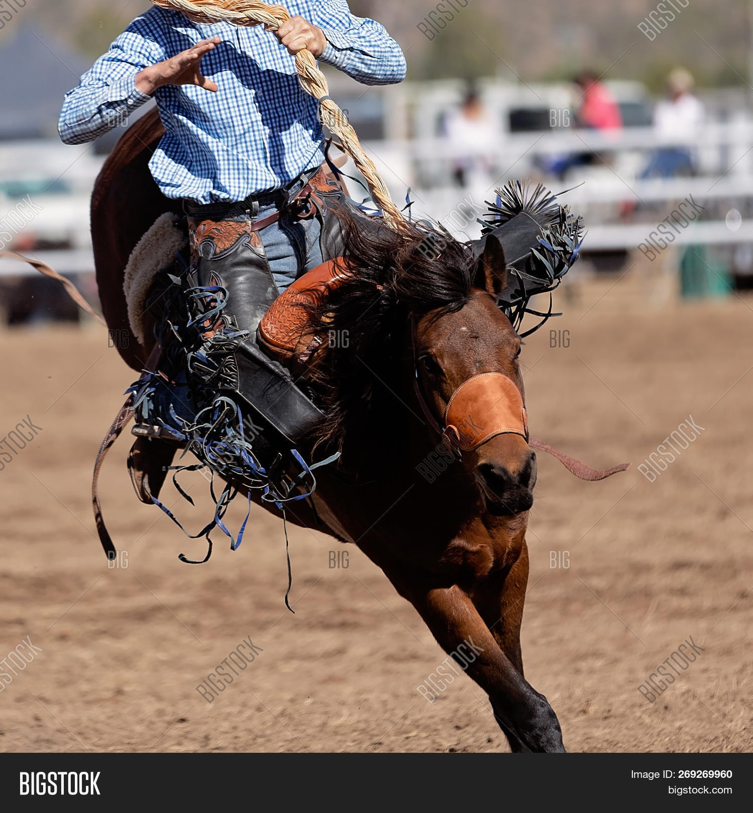 Cowboy Rides Wildly Image & Photo (Free Trial) | Bigstock