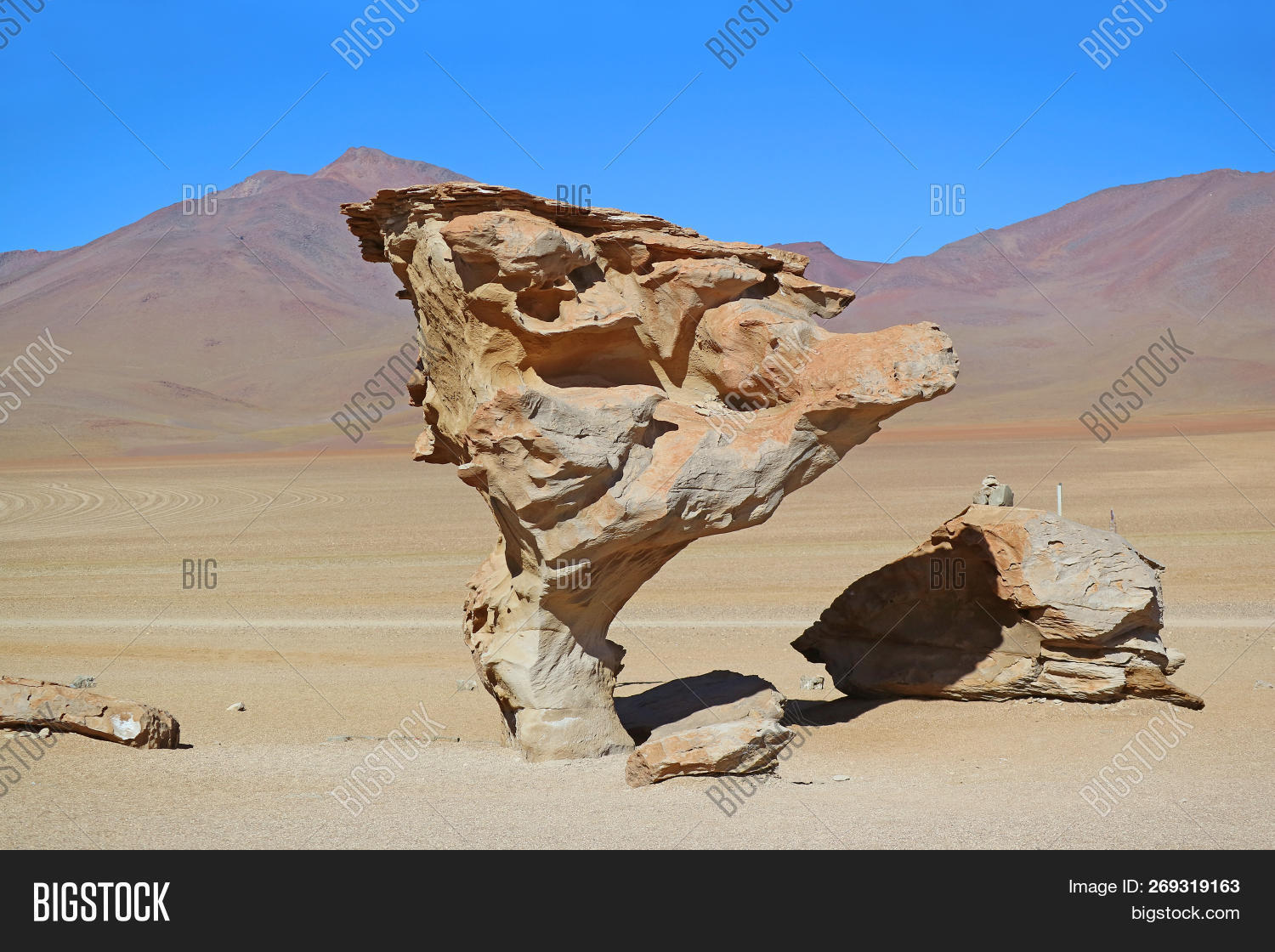 Stone Tree Arbol De Image & Photo (Free Trial) | Bigstock