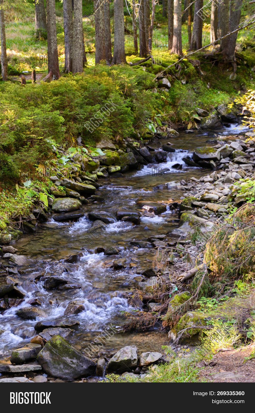 Mountain River Flowing Image & Photo (Free Trial) | Bigstock