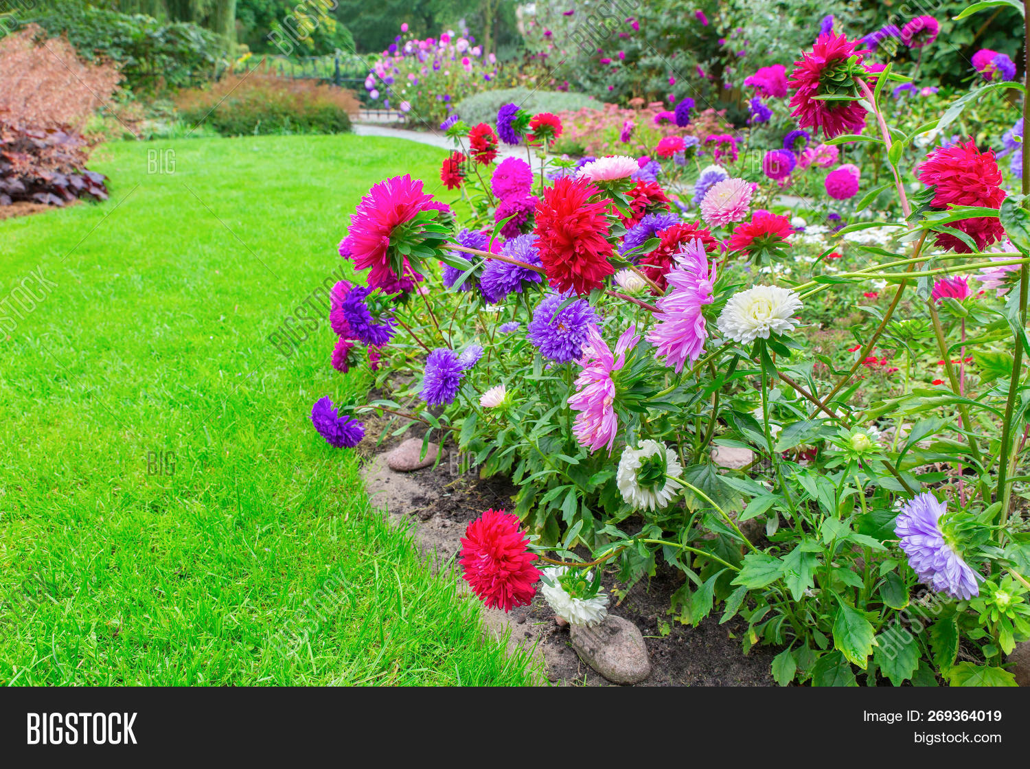 Backyard Blooming Image & Photo (Free Trial) | Bigstock