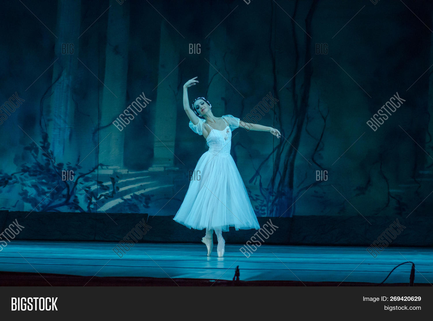 Classical Ballet Image & Photo (Free Trial) | Bigstock