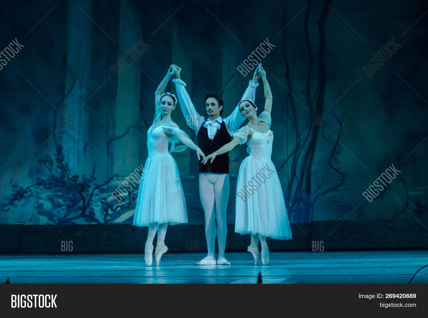 Classical Ballet Image & Photo (Free Trial) | Bigstock