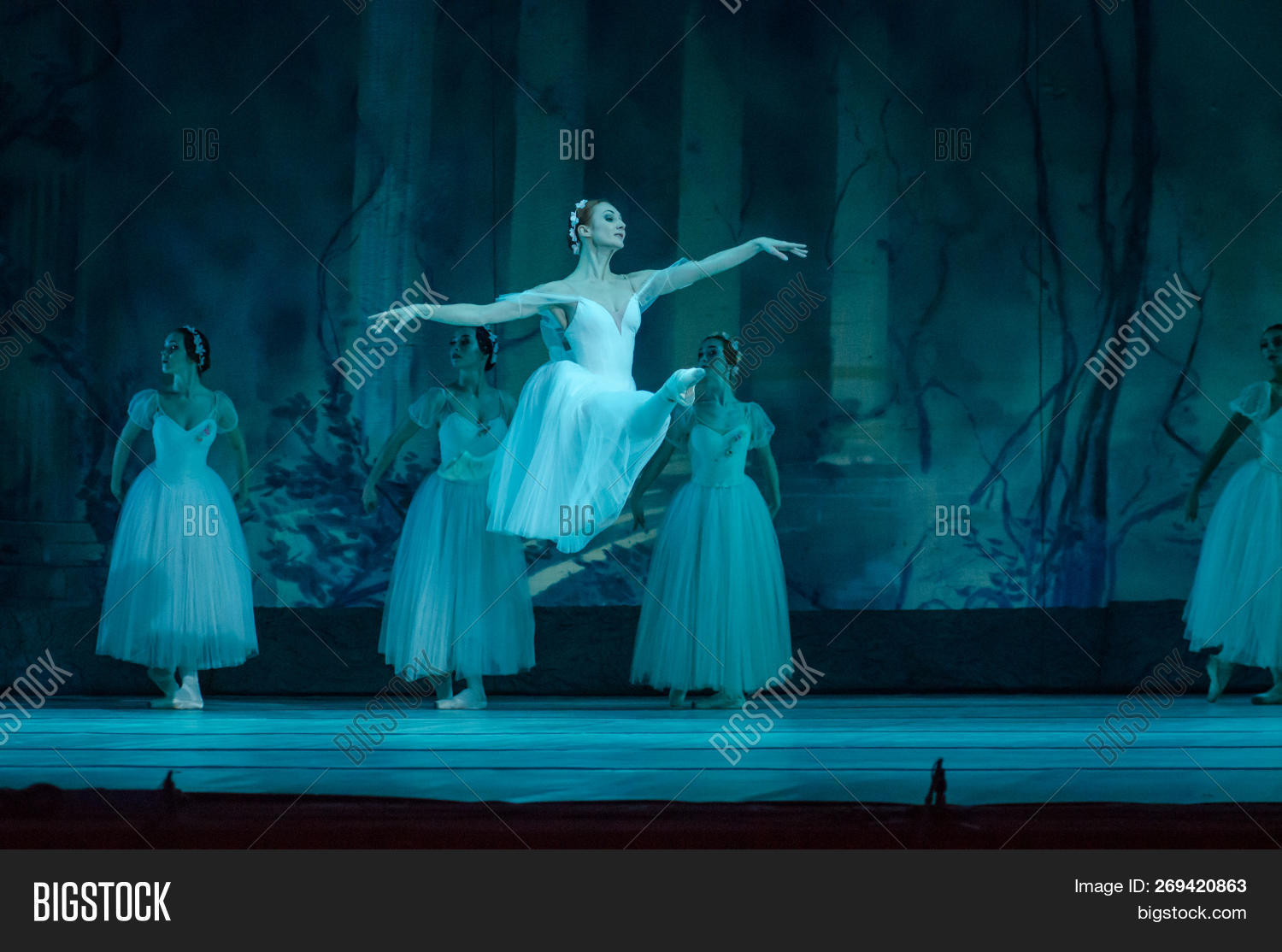 Classical Ballet Image & Photo (Free Trial) | Bigstock