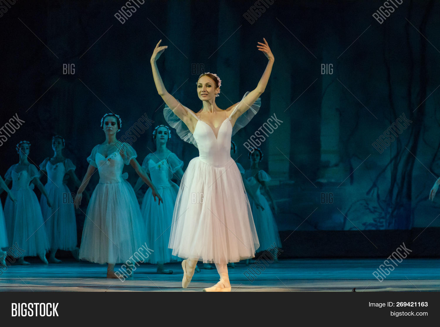 Classical Ballet Image & Photo (Free Trial) | Bigstock
