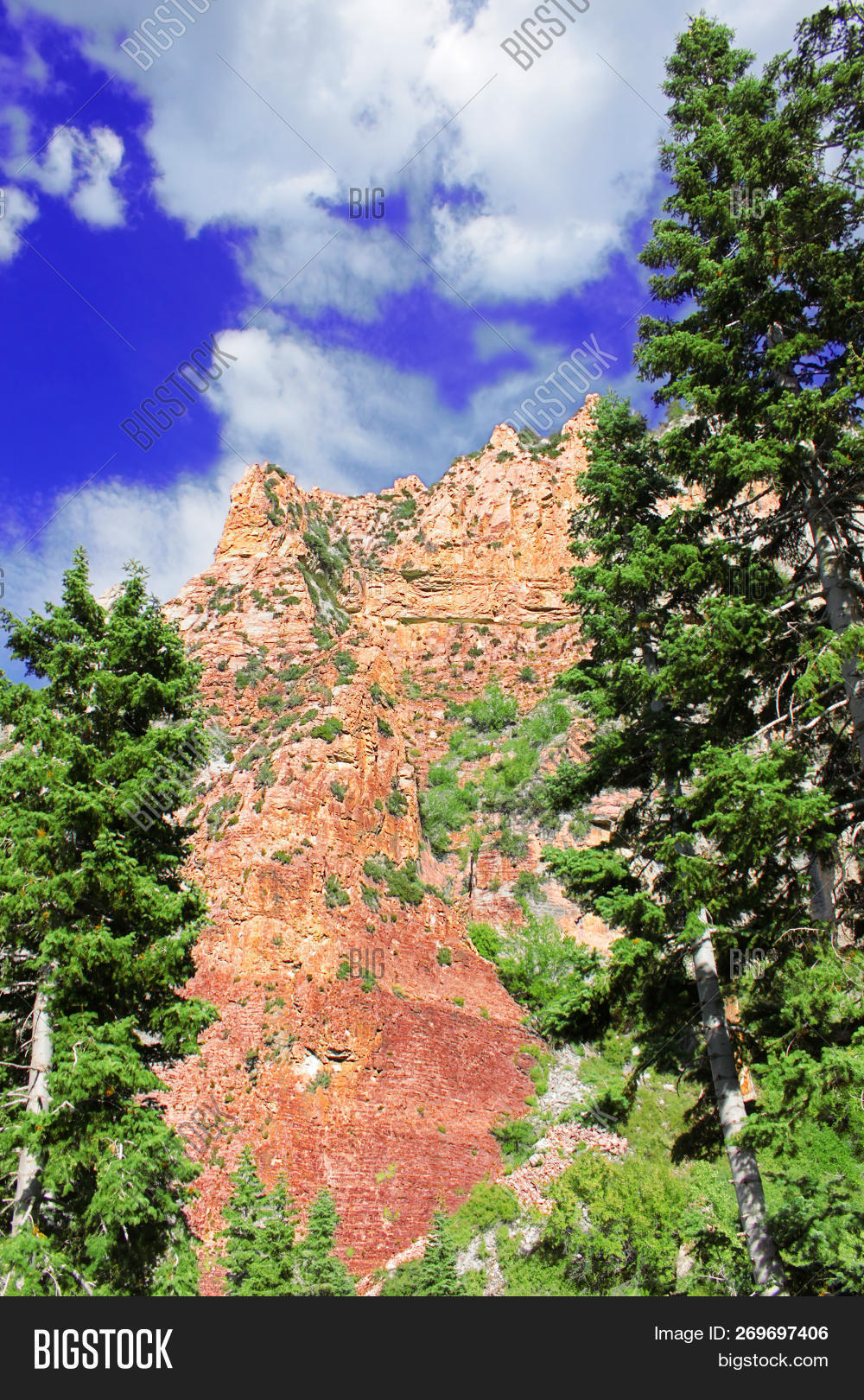 Echo Cliffs Showcase Image & Photo (Free Trial) | Bigstock