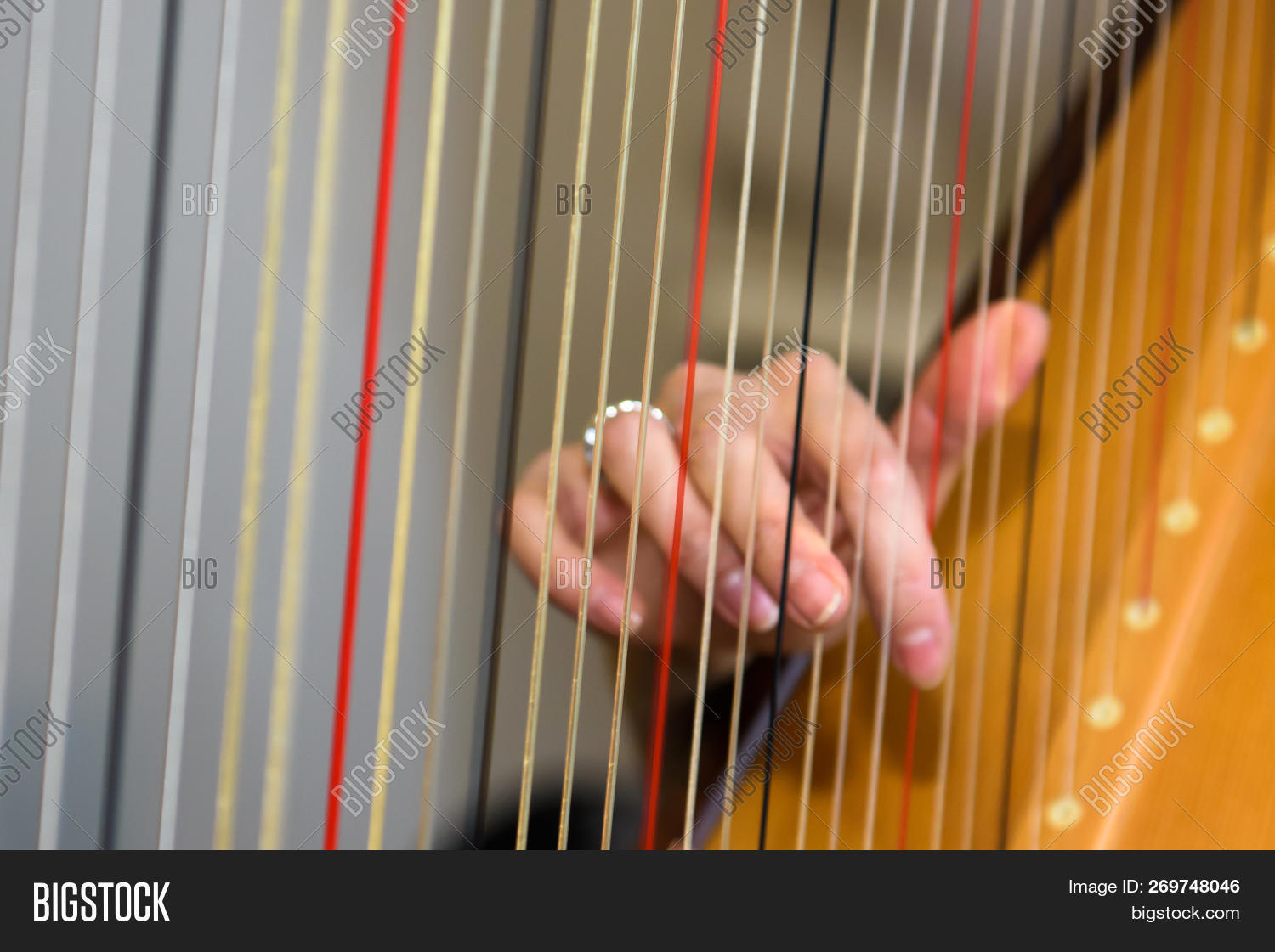 Hand Girl Playing Harp Image & Photo (Free Trial) | Bigstock