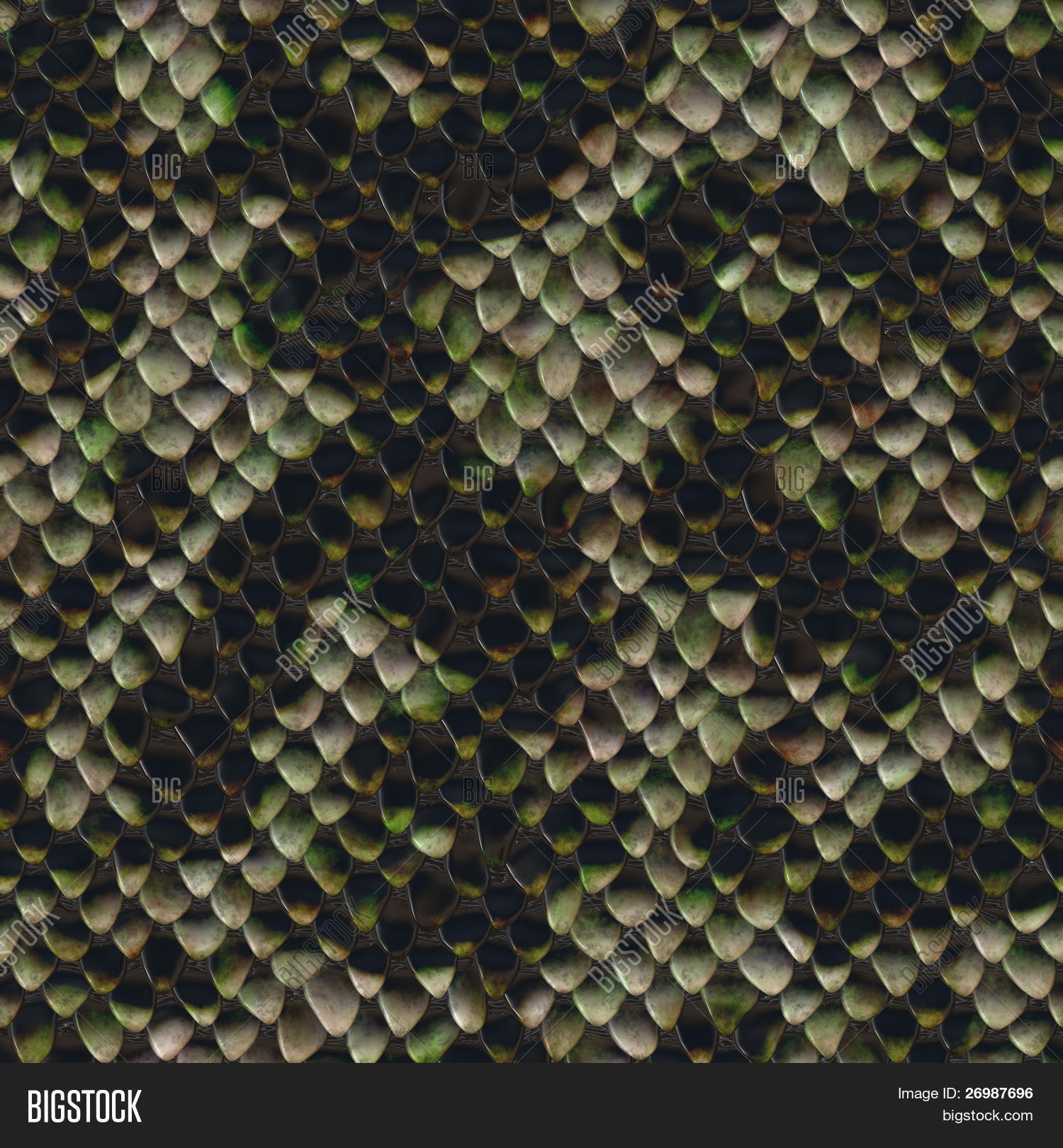 Seamless Texture Snake Image & Photo (Free Trial) | Bigstock