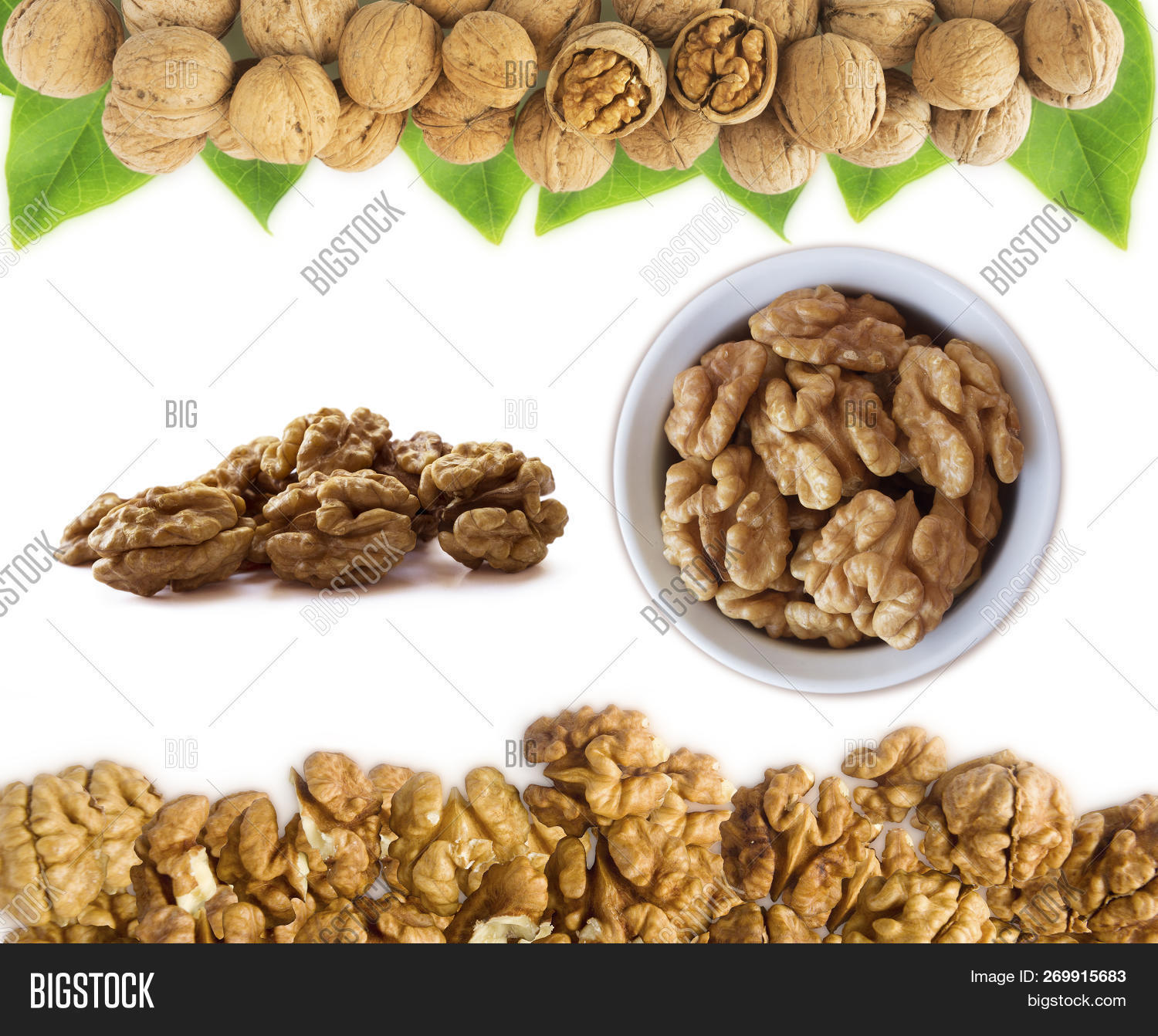 Kernels Walnuts Image & Photo (Free Trial) | Bigstock