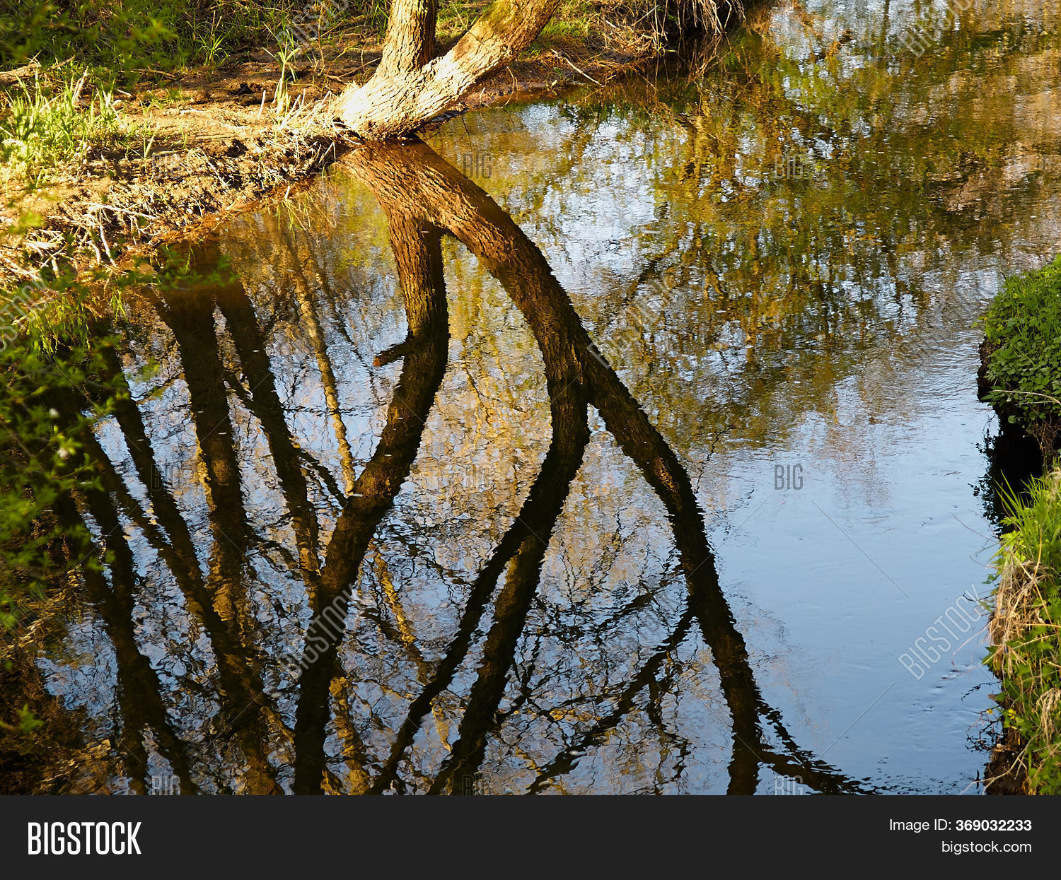 Small Beautiful Brook Image & Photo (Free Trial) | Bigstock