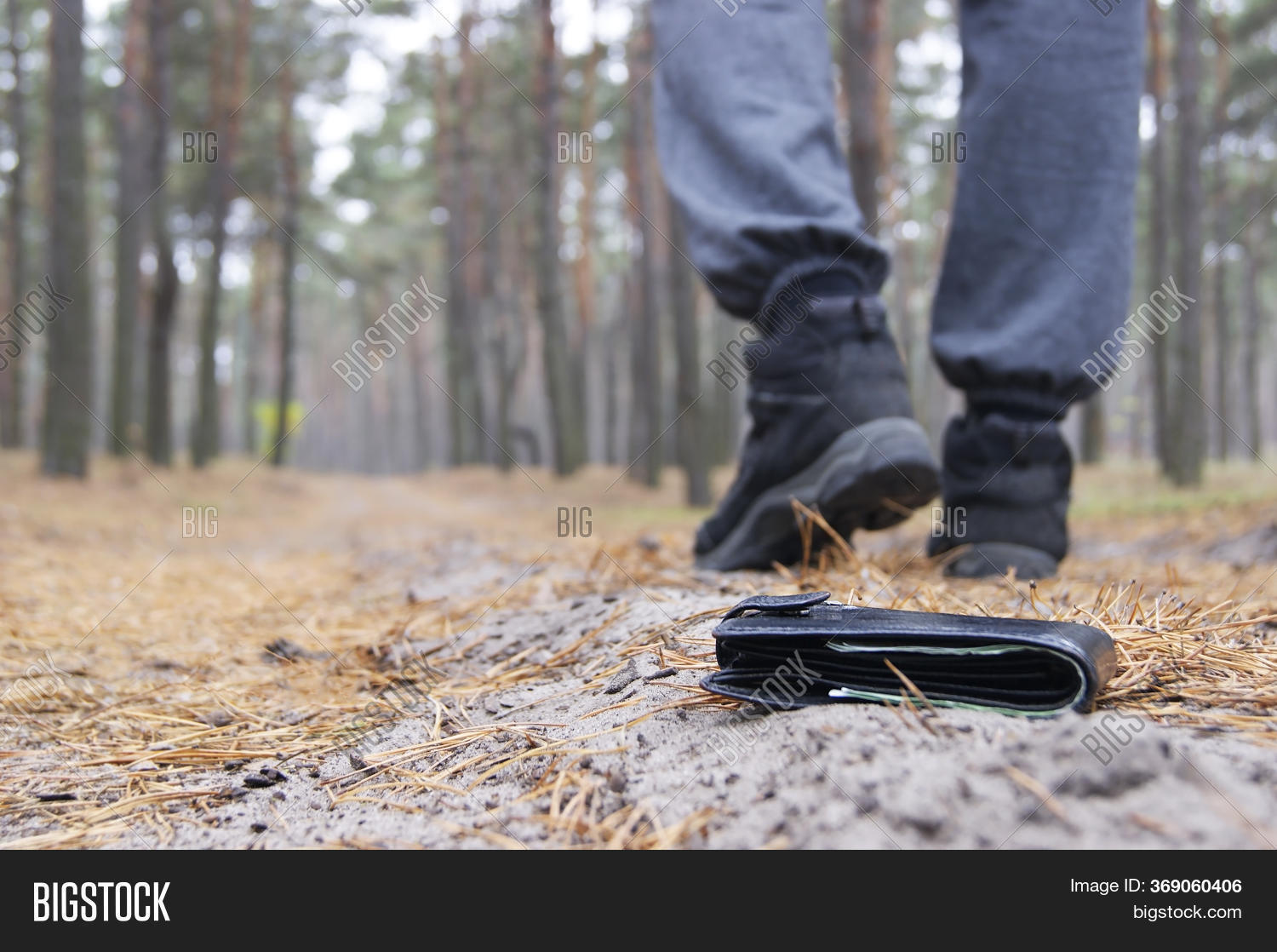 Black Wallet Fell On Image & Photo (Free Trial) | Bigstock