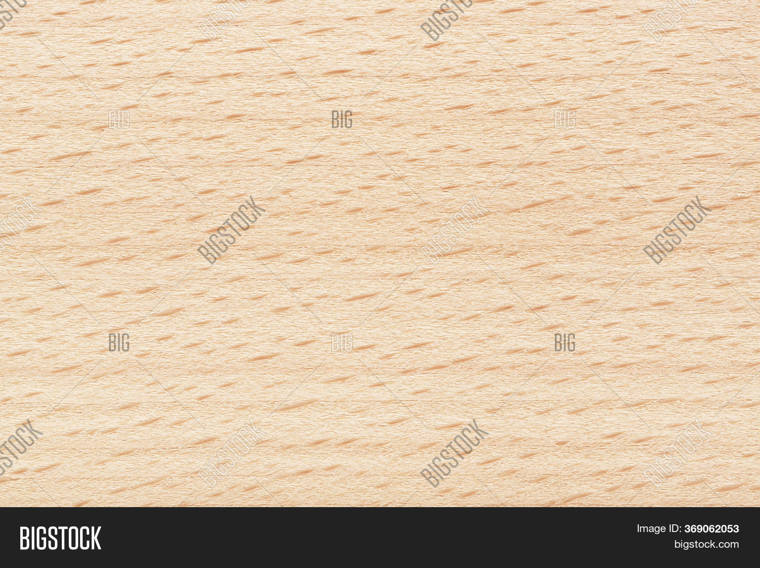 Beech Wood Texture. Image & Photo (Free Trial) | Bigstock