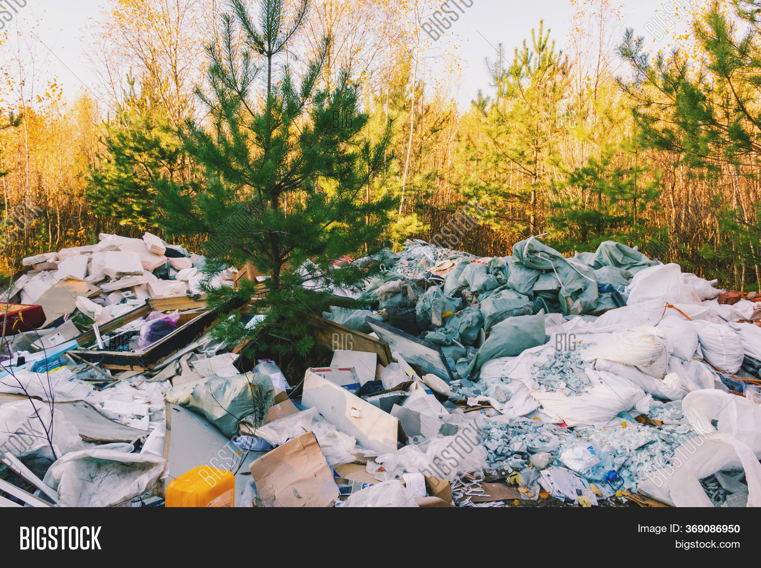 Garbage Dump Forest, Image & Photo (Free Trial) | Bigstock