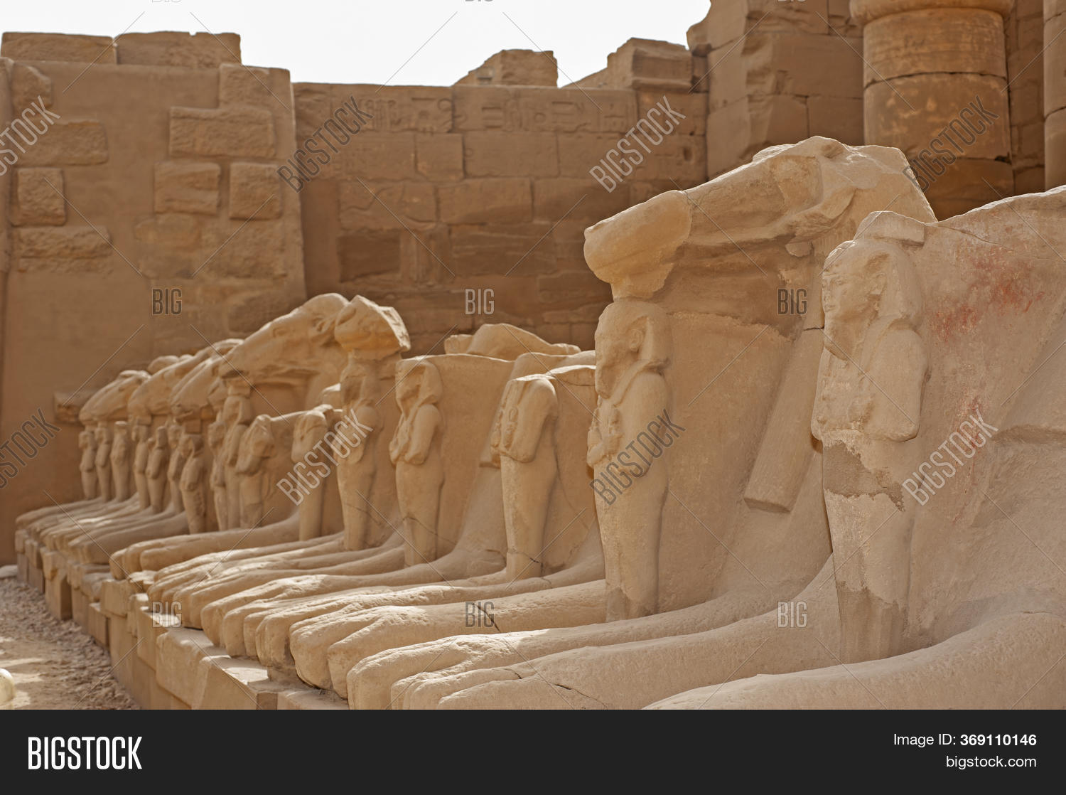 Ancient Egyptian Ram Image & Photo (Free Trial) | Bigstock