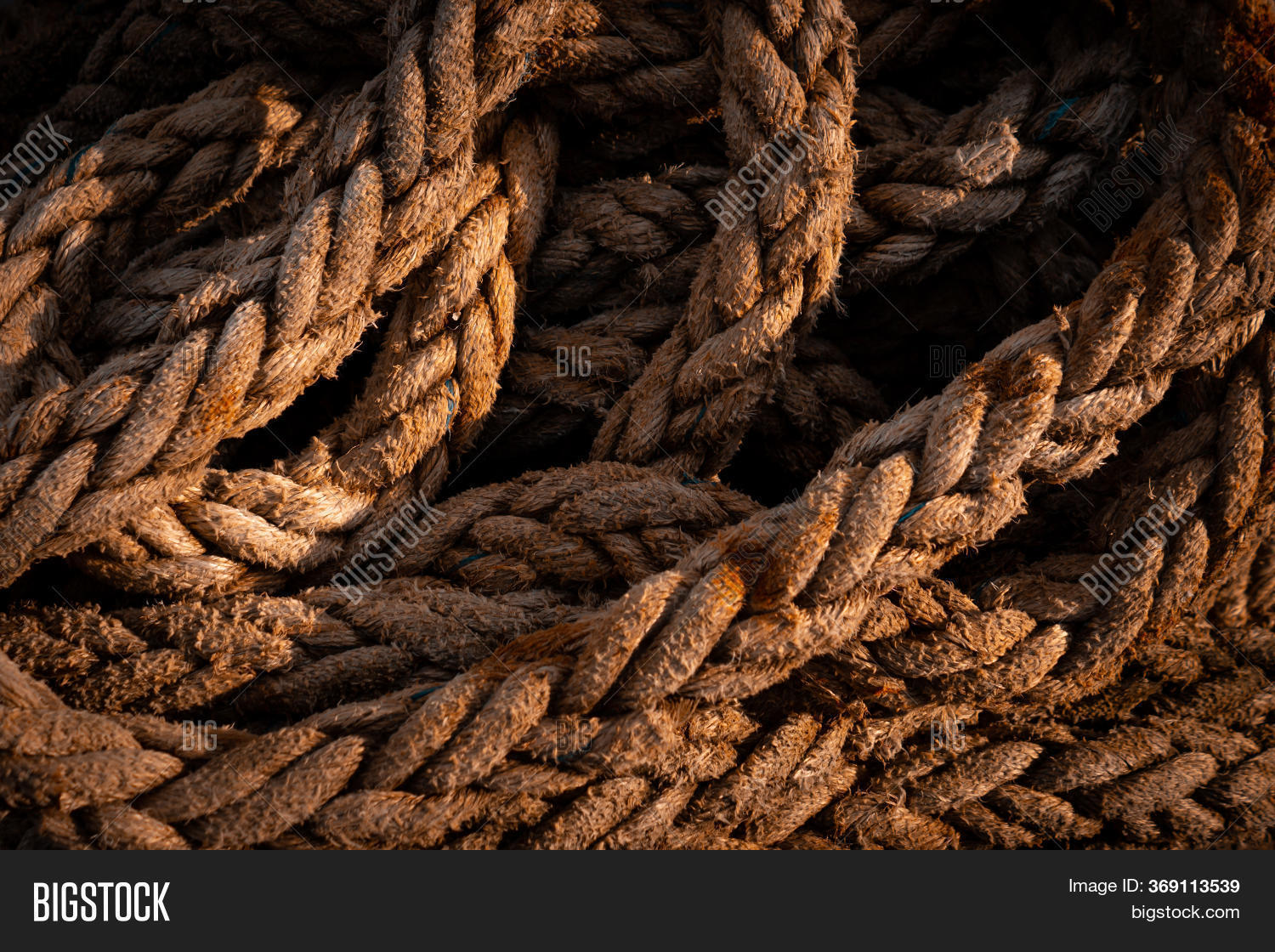 Old Rope Tangled Image & Photo (Free Trial) | Bigstock