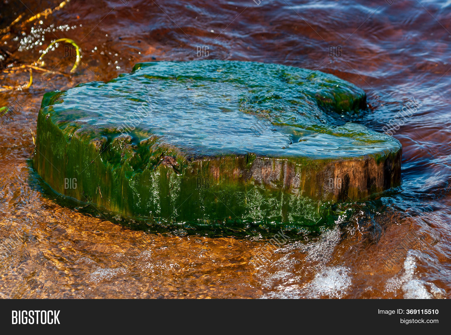 Large Flat Rock Lay Image & Photo (Free Trial) | Bigstock