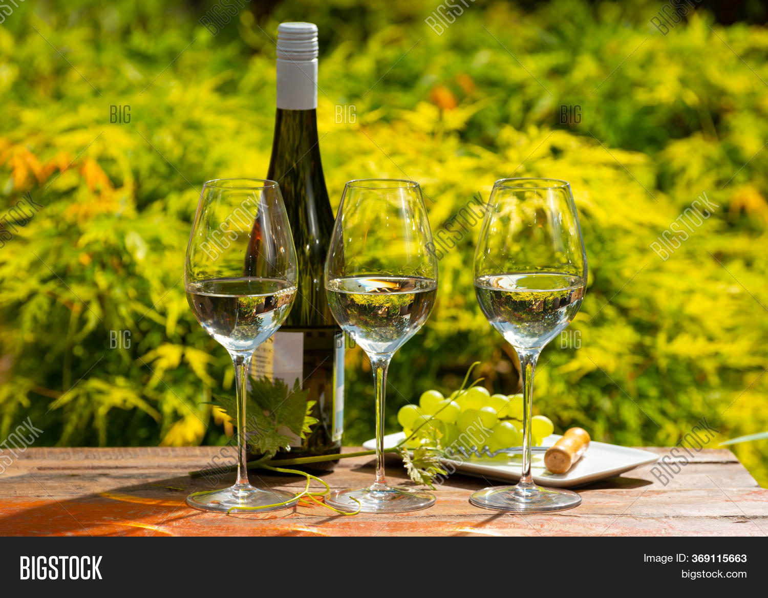 Quality Wine Tasting Image & Photo (Free Trial) | Bigstock