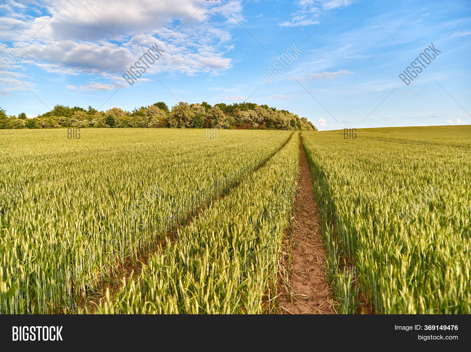 Countryside Path Image & Photo (Free Trial) | Bigstock