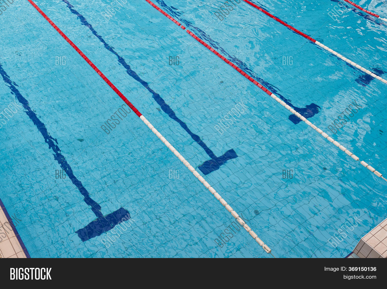 Swimming Pool Empty Image & Photo (Free Trial) | Bigstock
