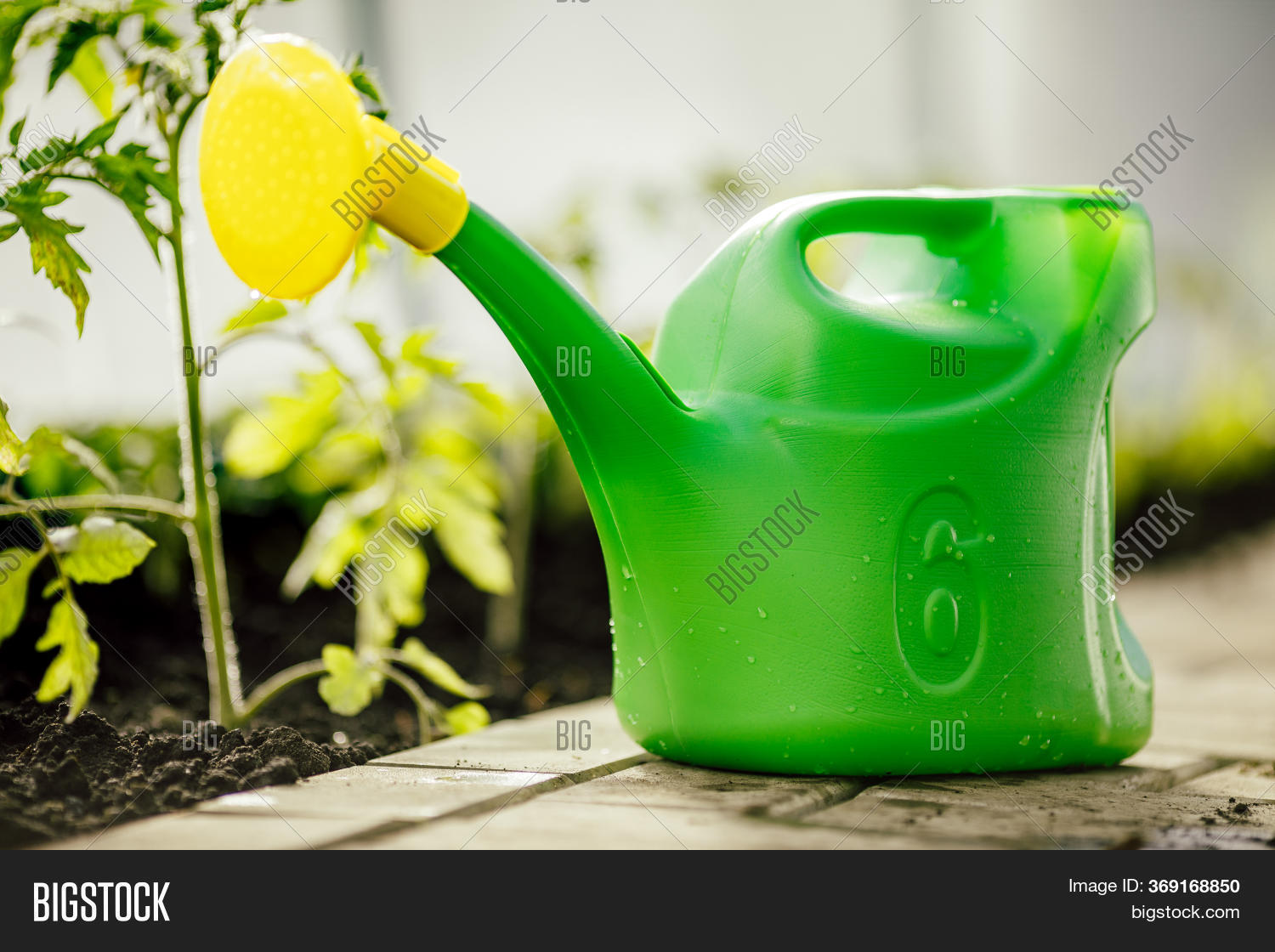 Plastic Green Watering Image & Photo (Free Trial) | Bigstock