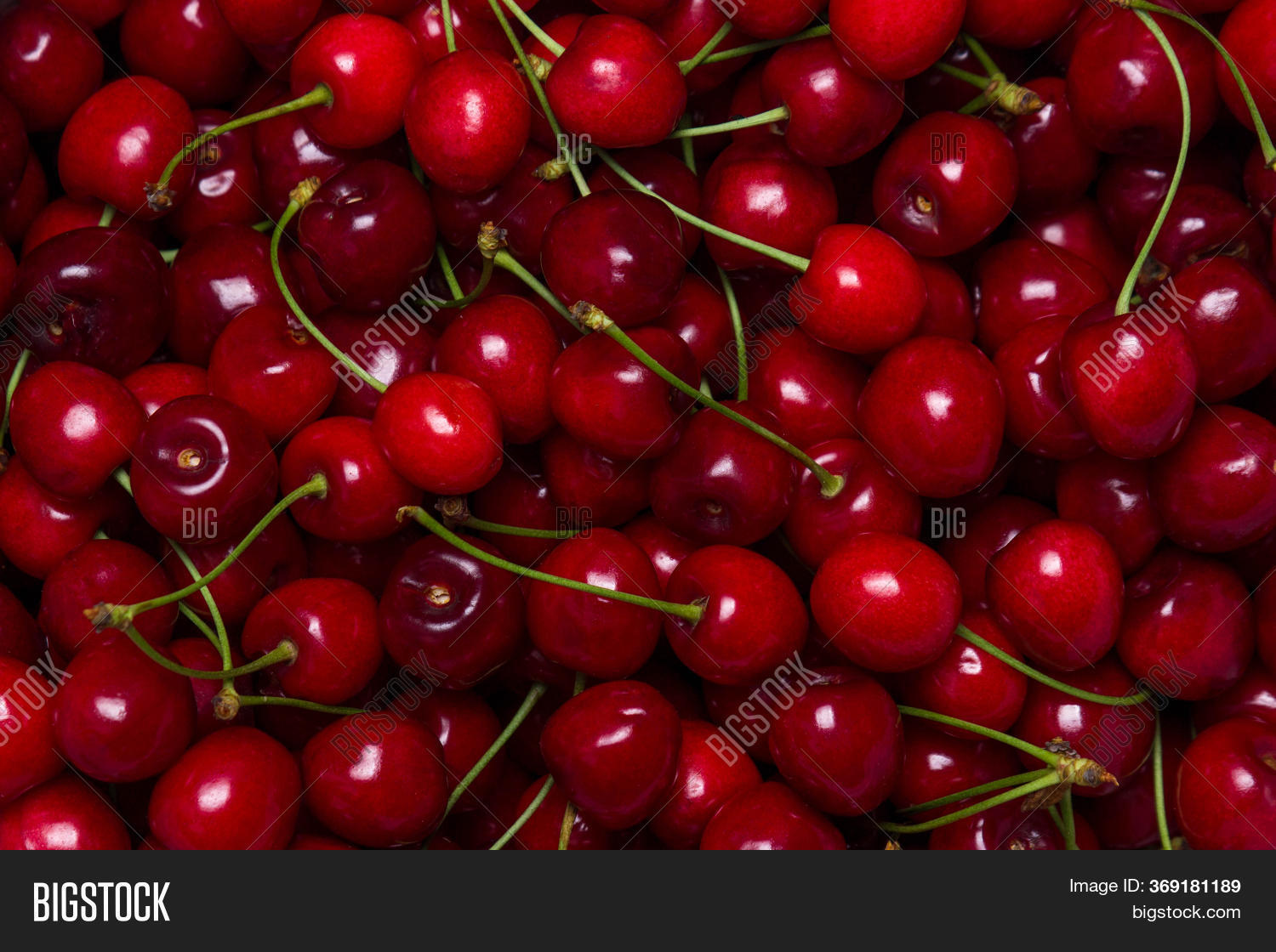 Red Cherries Full Image & Photo (Free Trial) | Bigstock