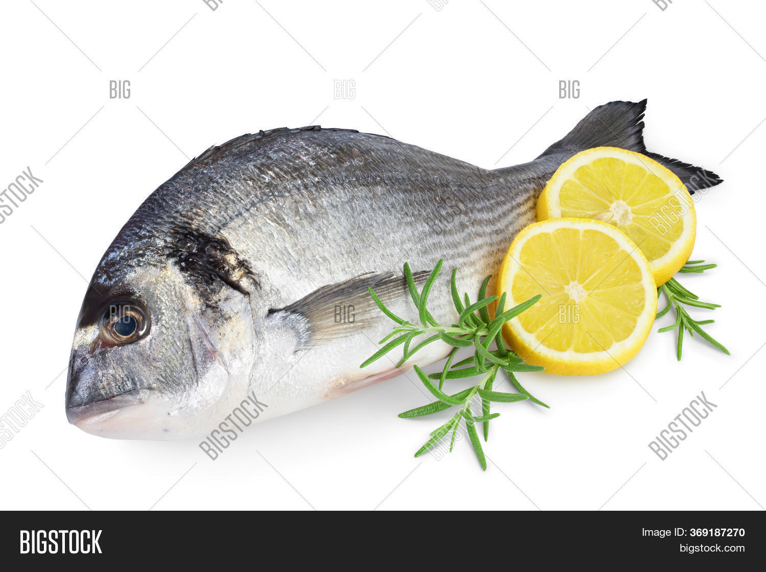 Fish Dorado Isolated Image & Photo (Free Trial) | Bigstock