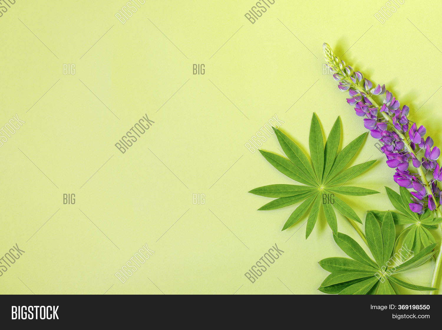 Spring Floral Flatlay Image & Photo (Free Trial) | Bigstock