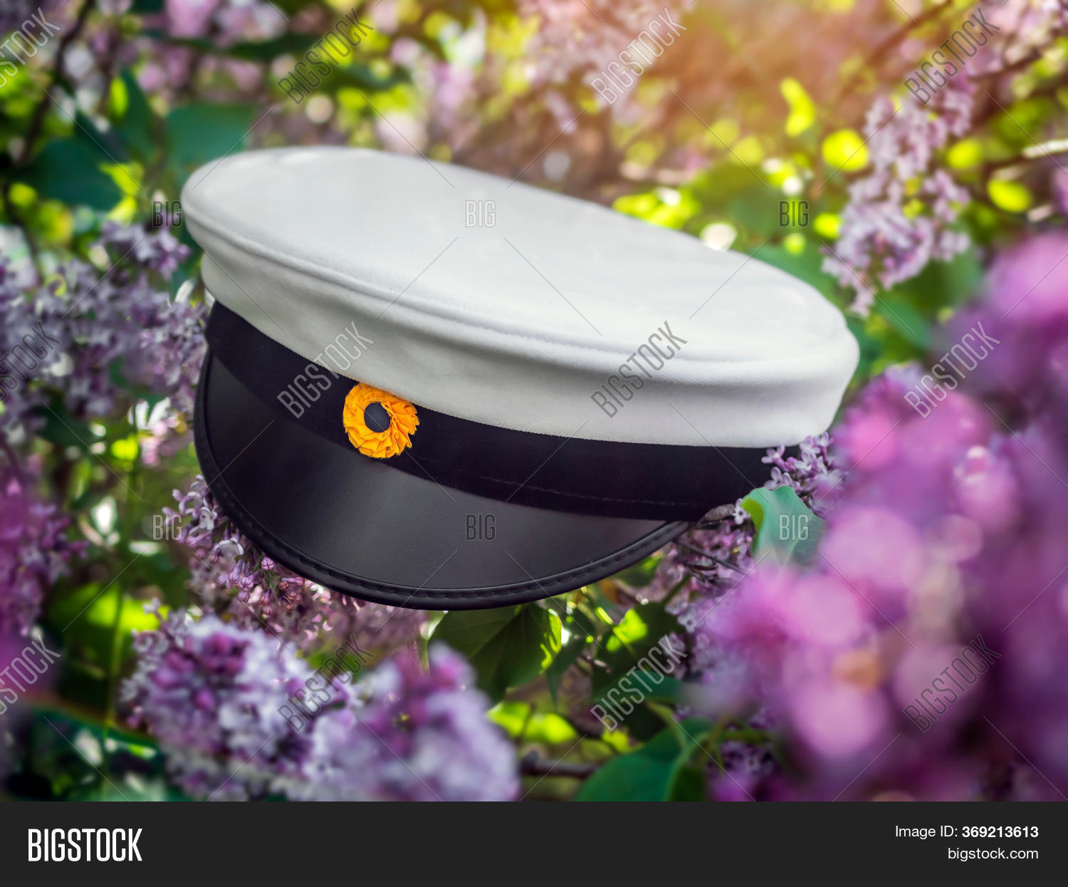 Swedish Graduation Cap Image & Photo (Free Trial) | Bigstock