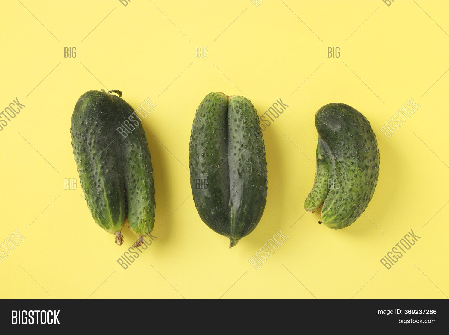 Three Ugly Cucumbers Image & Photo (Free Trial) | Bigstock