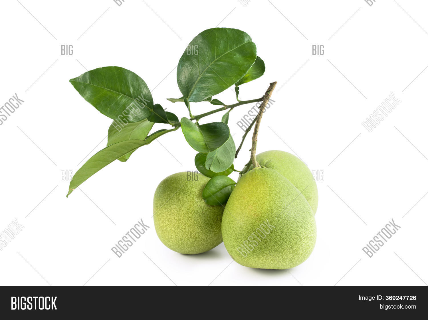 Fresh Pomelo, Pummelo Image & Photo (Free Trial) | Bigstock