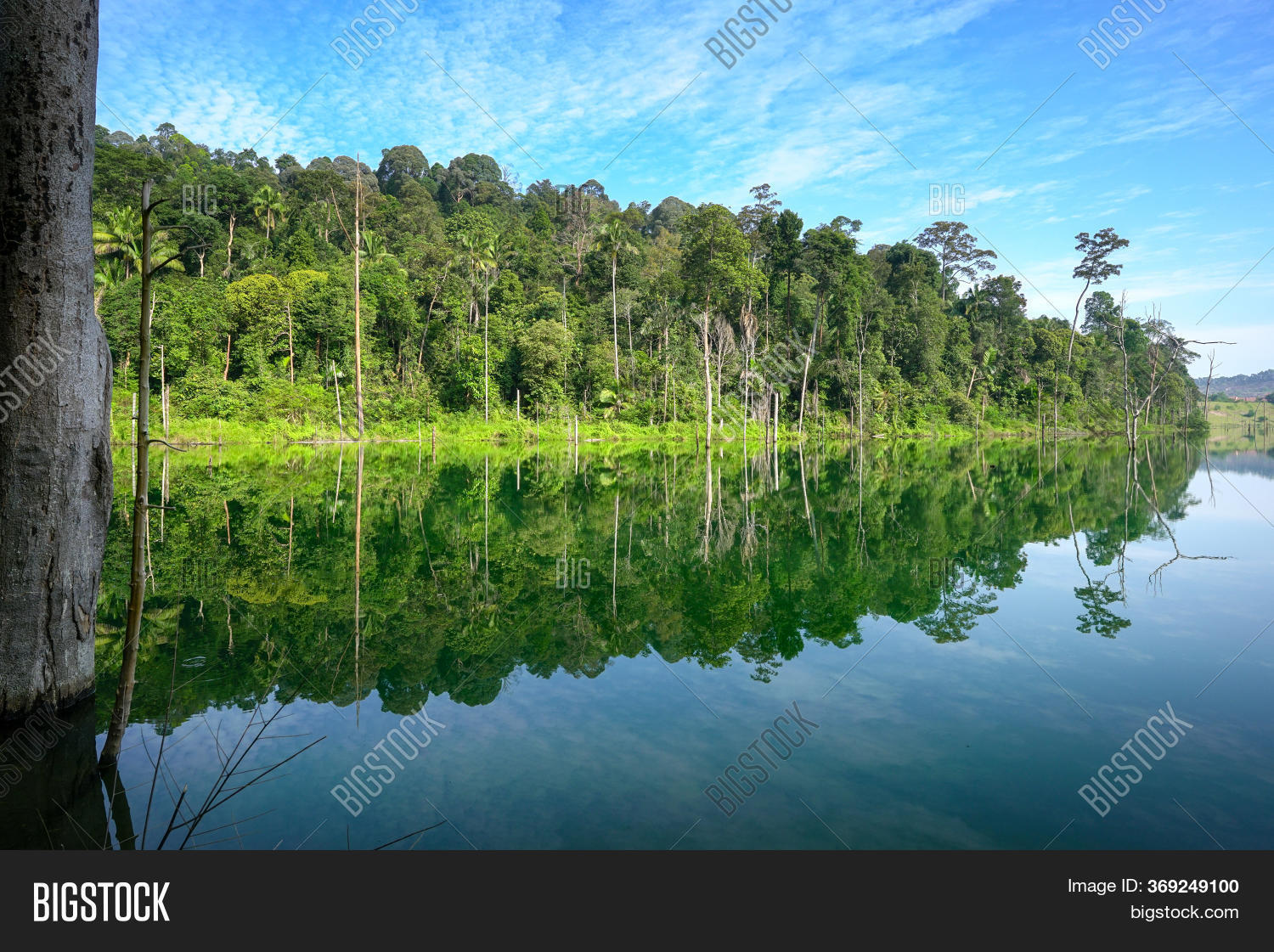 Beautiful Lake Image & Photo (Free Trial) | Bigstock
