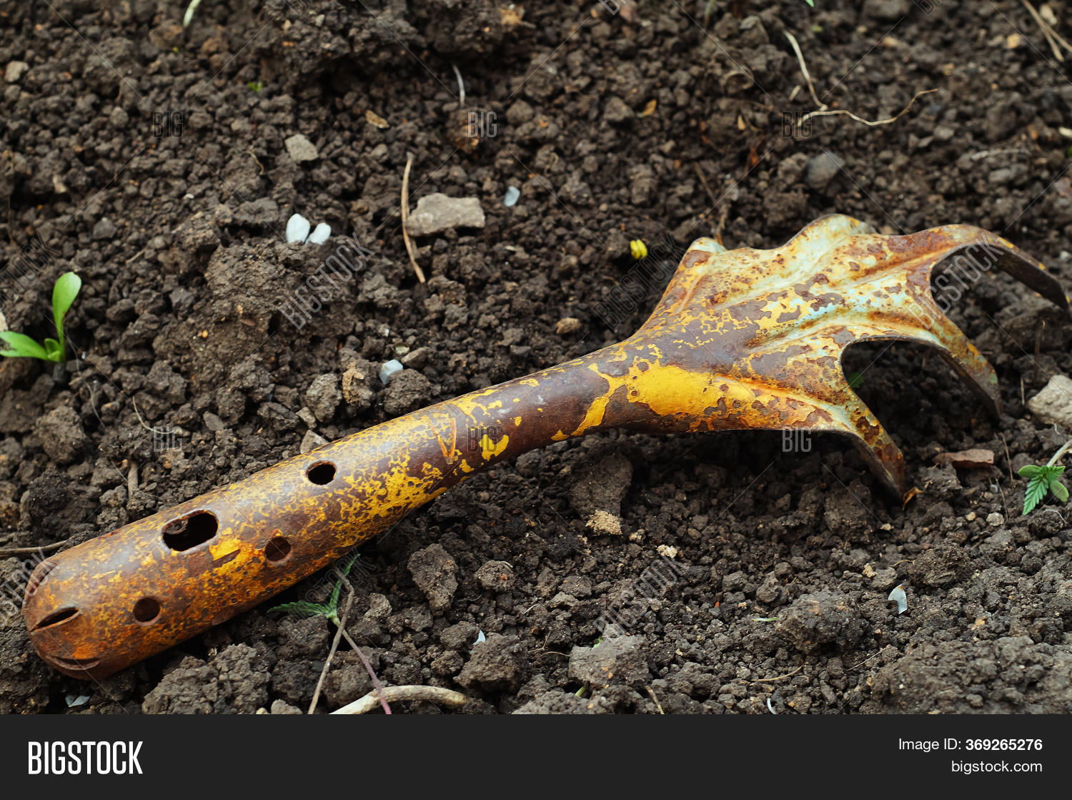 Manual, Garden Ripper Image & Photo (Free Trial) | Bigstock