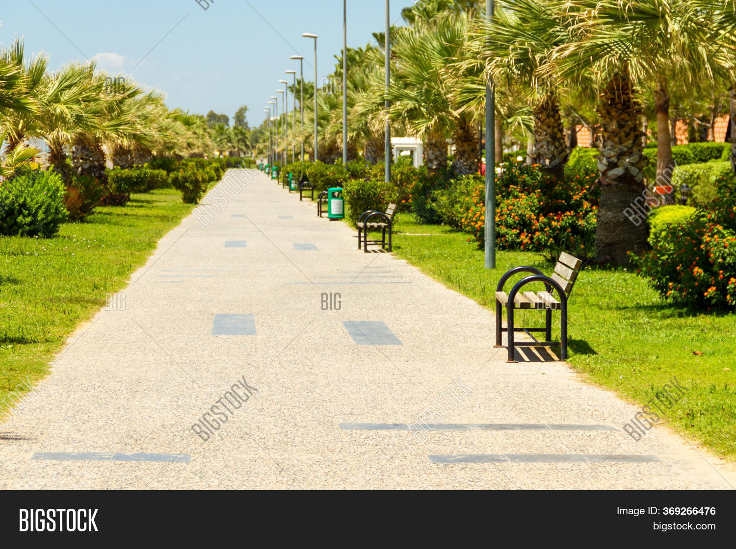 Beach Street Walking. Image & Photo (Free Trial) | Bigstock