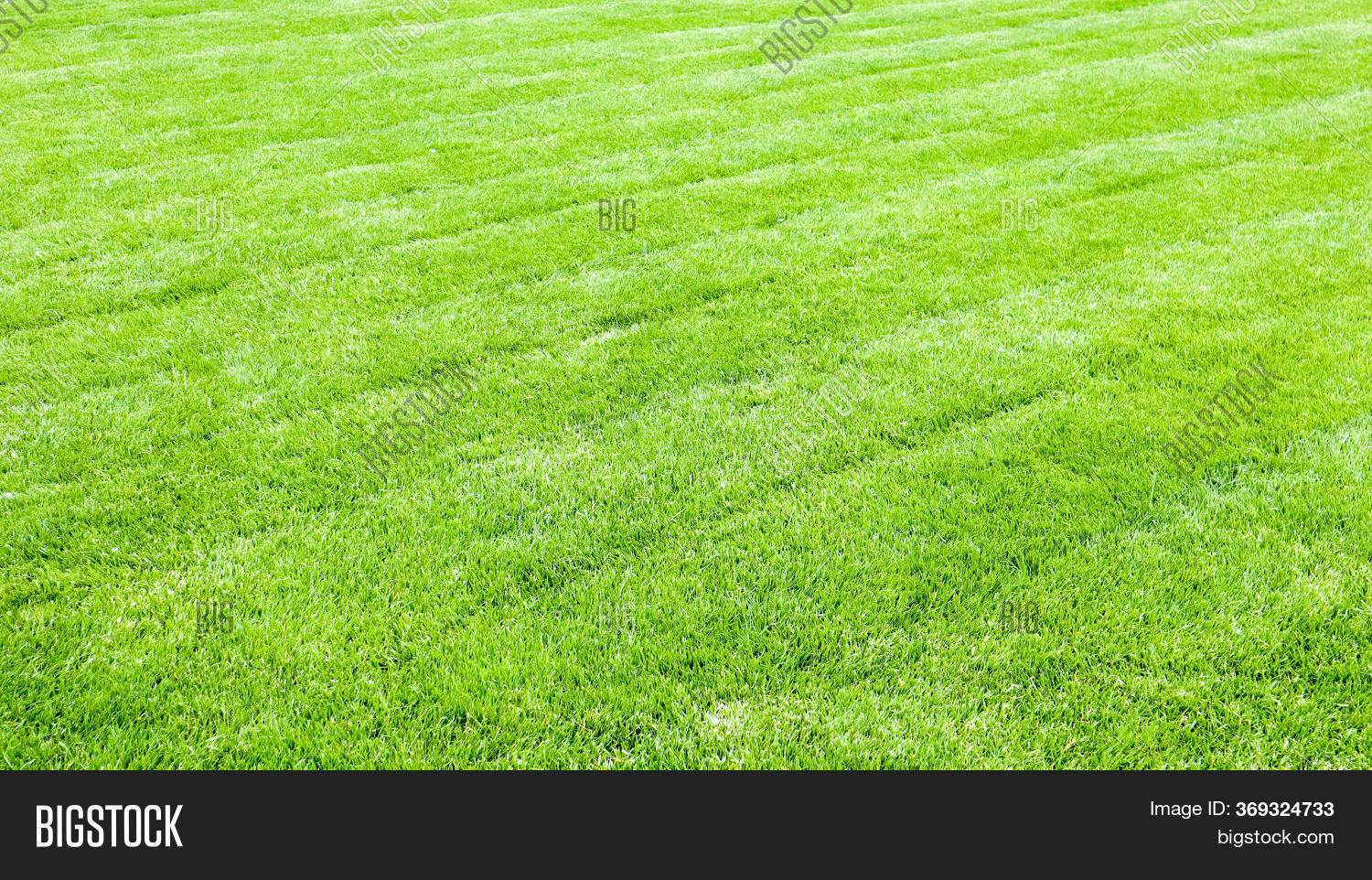 Green Lawn Background Image & Photo (Free Trial) | Bigstock