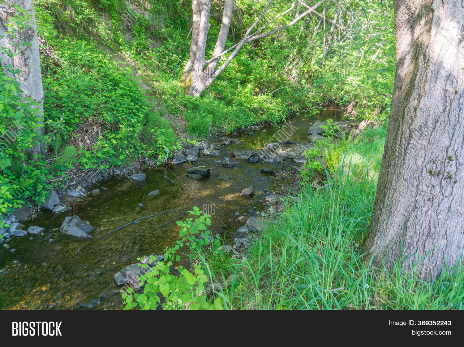 View Flowing Creek Des Image & Photo (Free Trial) | Bigstock