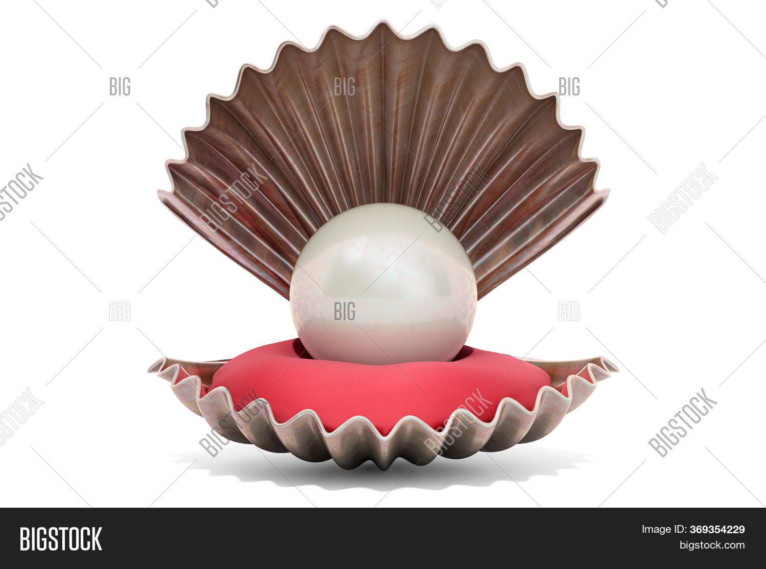 Pearl Inside Seashell Image & Photo (Free Trial) | Bigstock